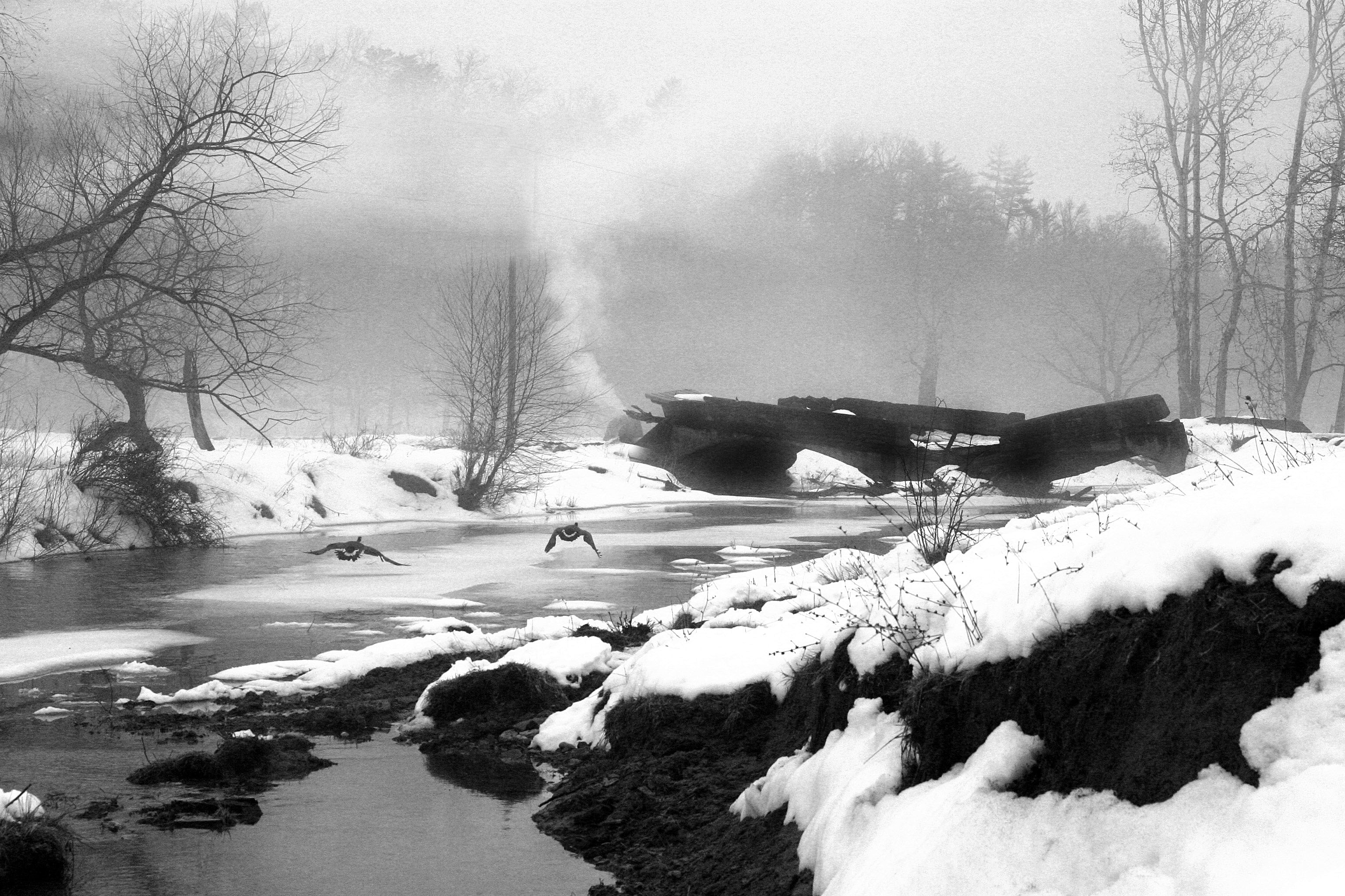 Jonathan Brothers – Franks Fine Arts