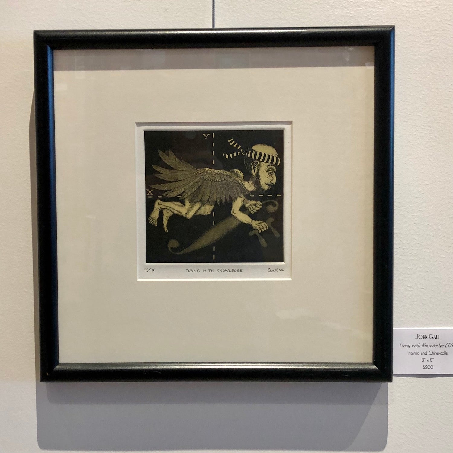 Flying with Knowledge – Franks Fine Arts